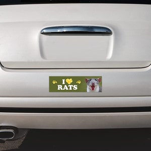I Love Rats Funny Gen Z Meme Bumper Sticker & Car Magnet - Etsy