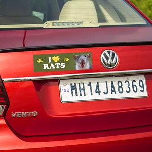 I Love Rats Funny Gen Z Meme Bumper Sticker & Car Magnet - Etsy
