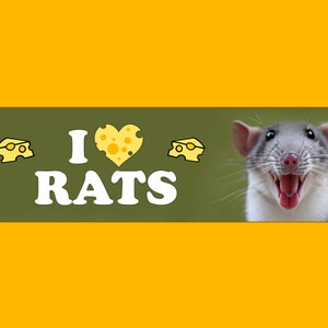 I Love Rats Funny Gen Z Meme Bumper Sticker & Car Magnet - Etsy
