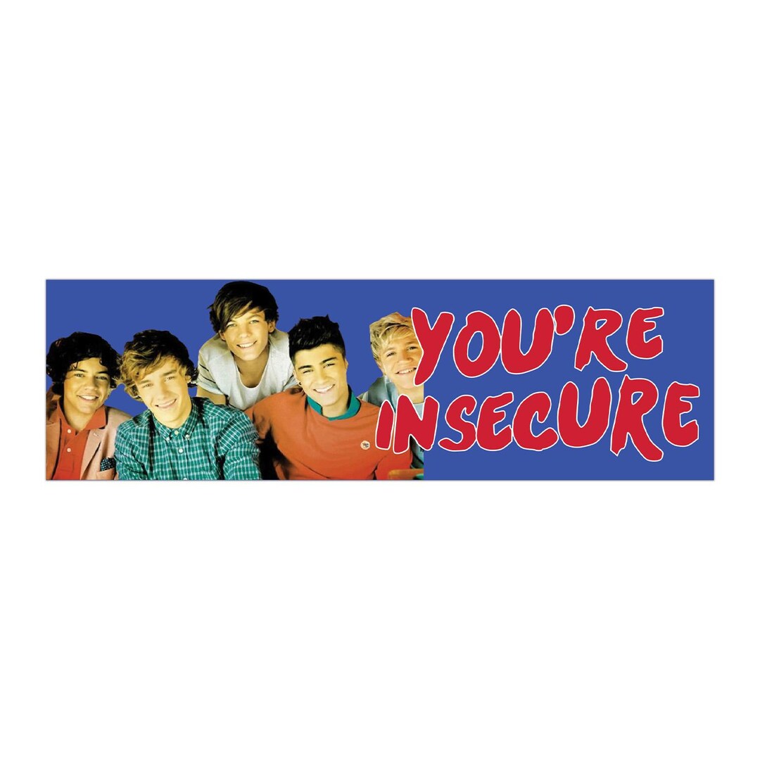 You're Insecure Funny Meme Bumper Sticker & Car Magnet - Etsy
