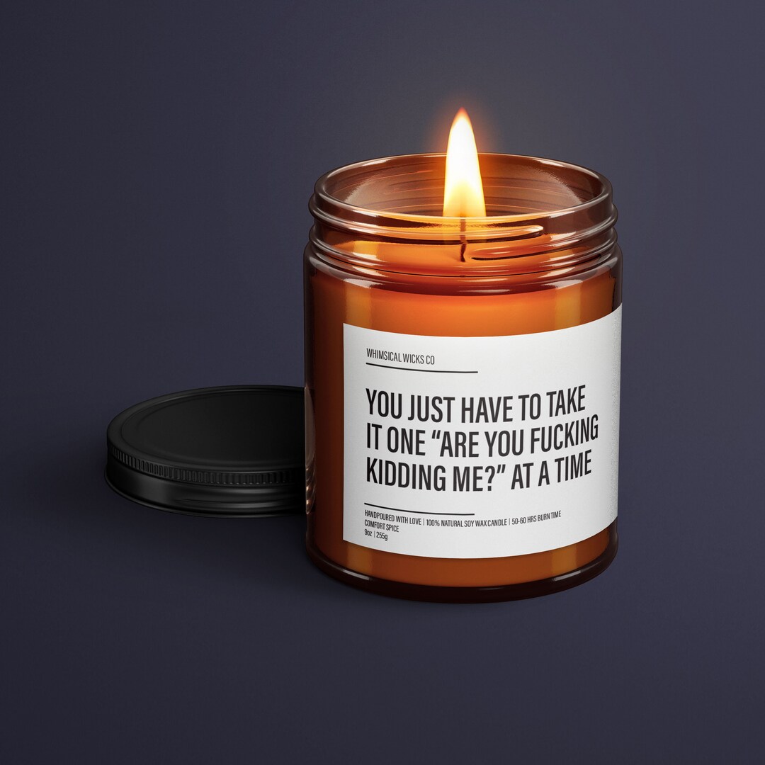 You Just Have to Take It One Are You F*cking Kidding Me, Funny Scented ...