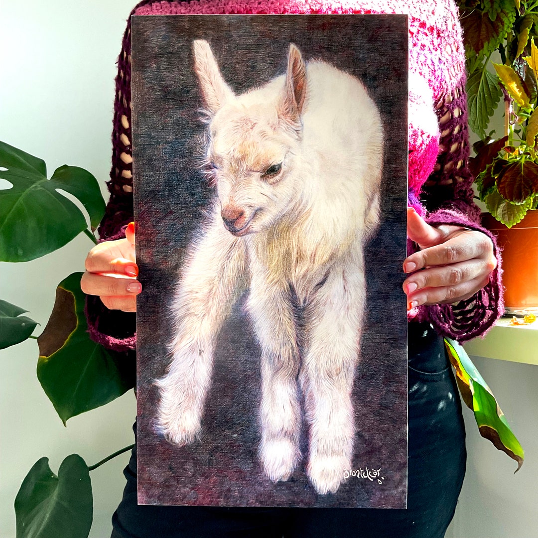 Artistic Print of Goat Illustrations in Colored Pencils ~ Brontetear - Etsy