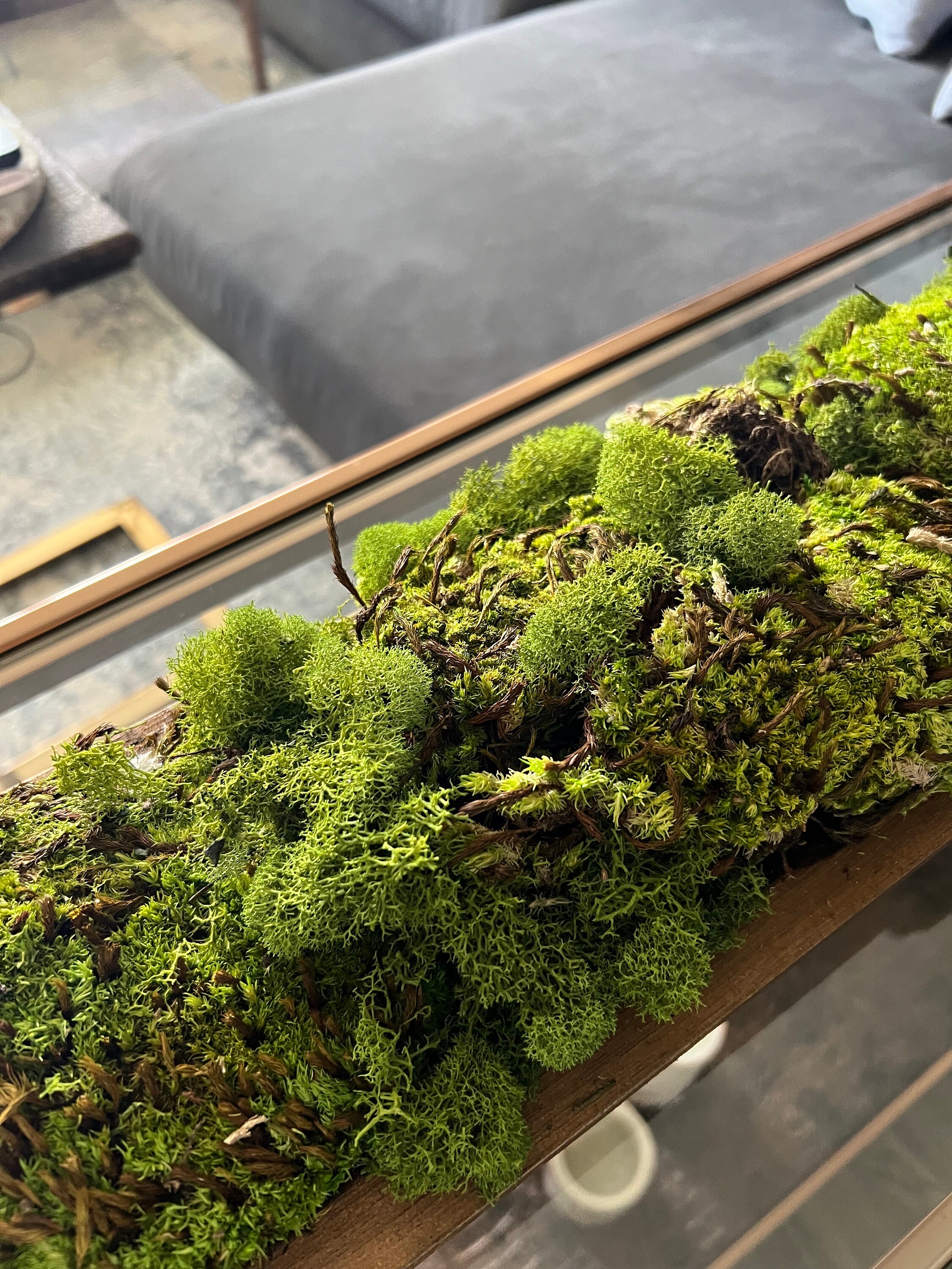 Large Preserved Moss Table Centerpiece in Wood Bowl - 36” - Etsy