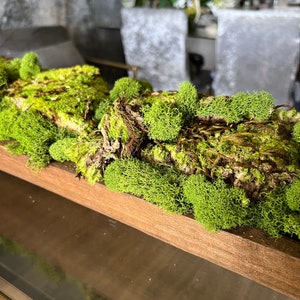 Large 26” Moss Decor in Wood Bowl, Preserved Moss, Moss Table ...