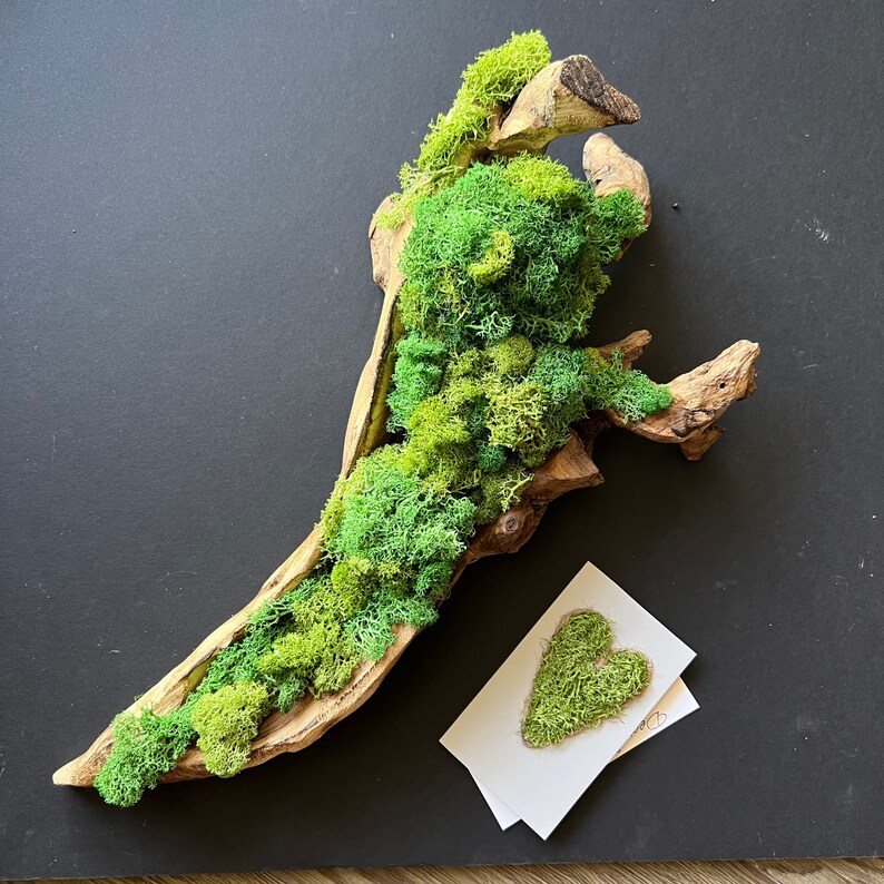 Moss Decor Grape Wood Branch With Preserved Moss Wood Bowls - Etsy