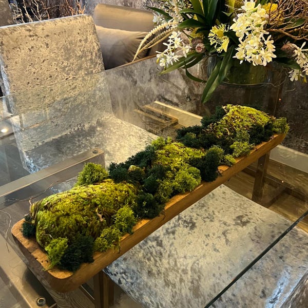 Moss Table Decor - Etsy