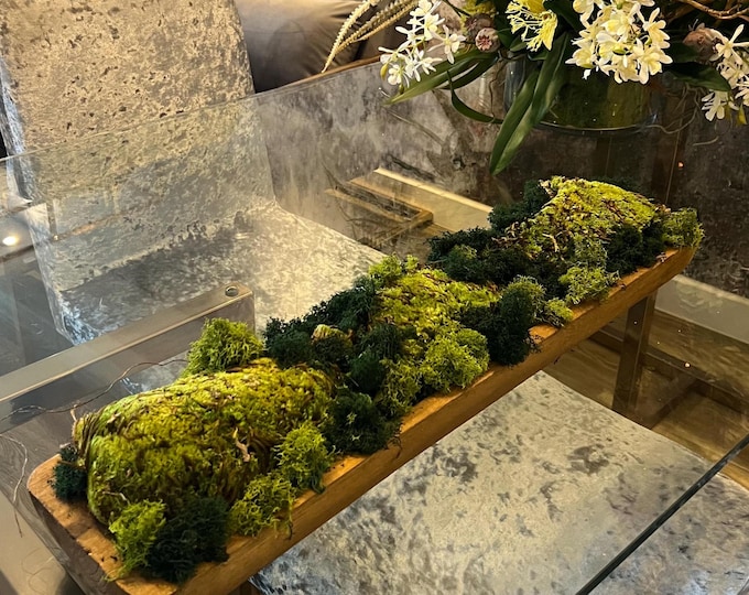 Large 36 Moss Decor in Wood Bowl, Preserved Moss, Moss Table ...