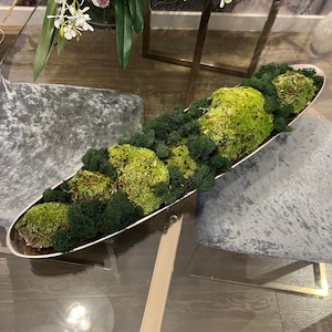 Moss Decor in Metal Bowl, Preserved Moss, Moss Table Centerpiece, Home ...