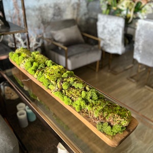 Large Preserved Moss Table Centerpiece in Wood Bowl - 36” - Etsy