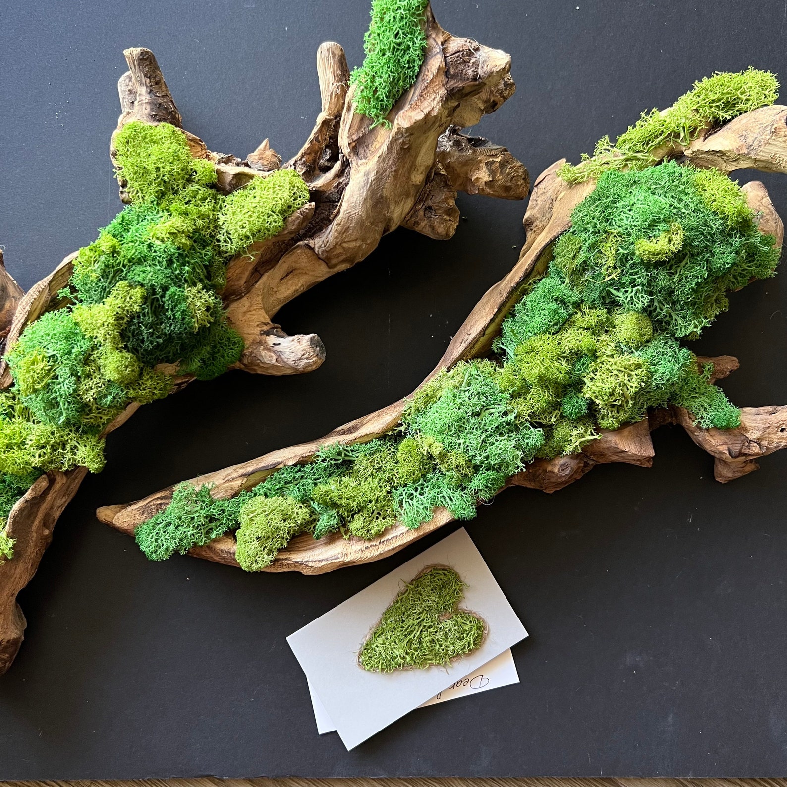 Moss Decor Grape Wood Branch With Preserved Moss Wood Bowls - Etsy