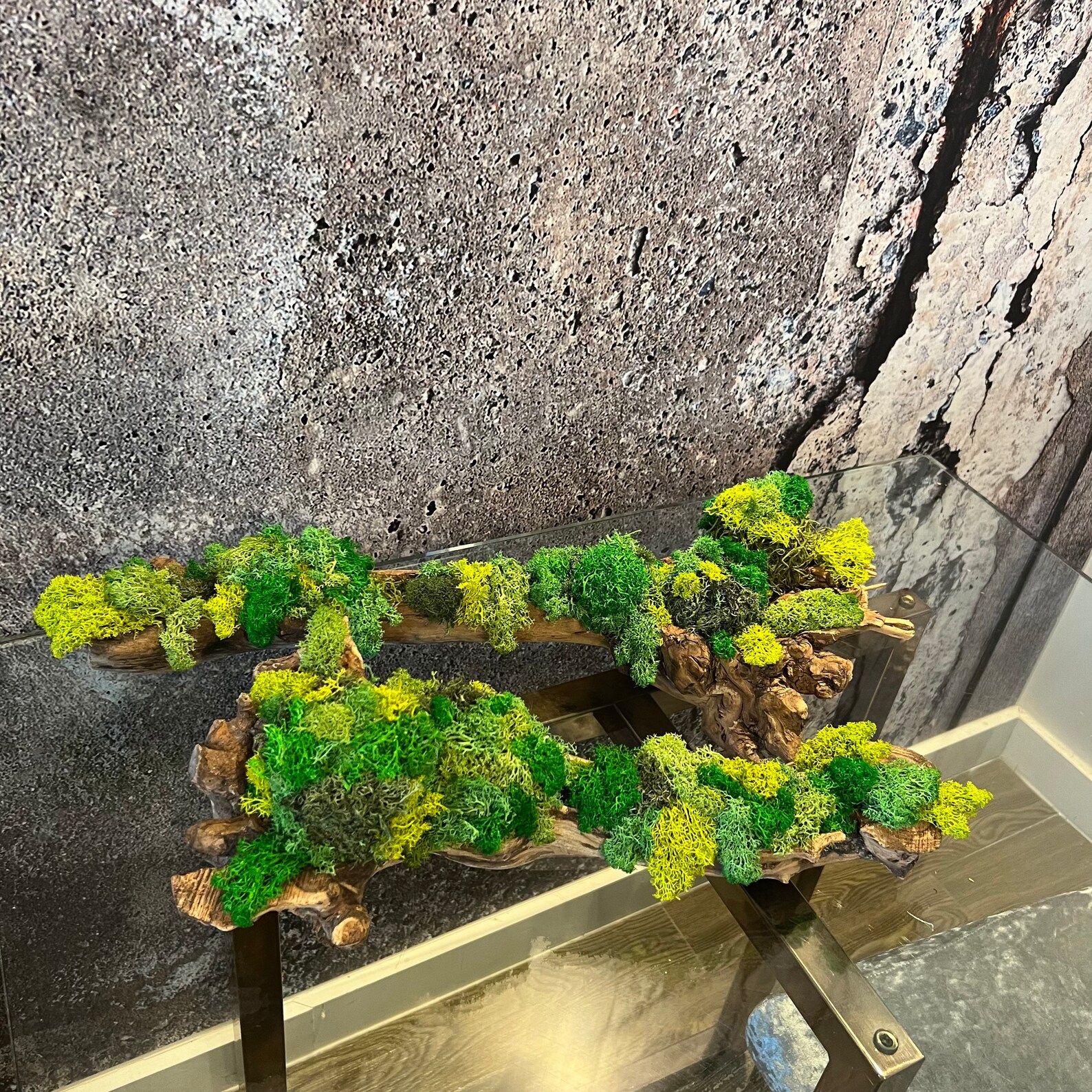 Moss Decor Grape Wood Branch With Preserved Moss Wood Bowls - Etsy