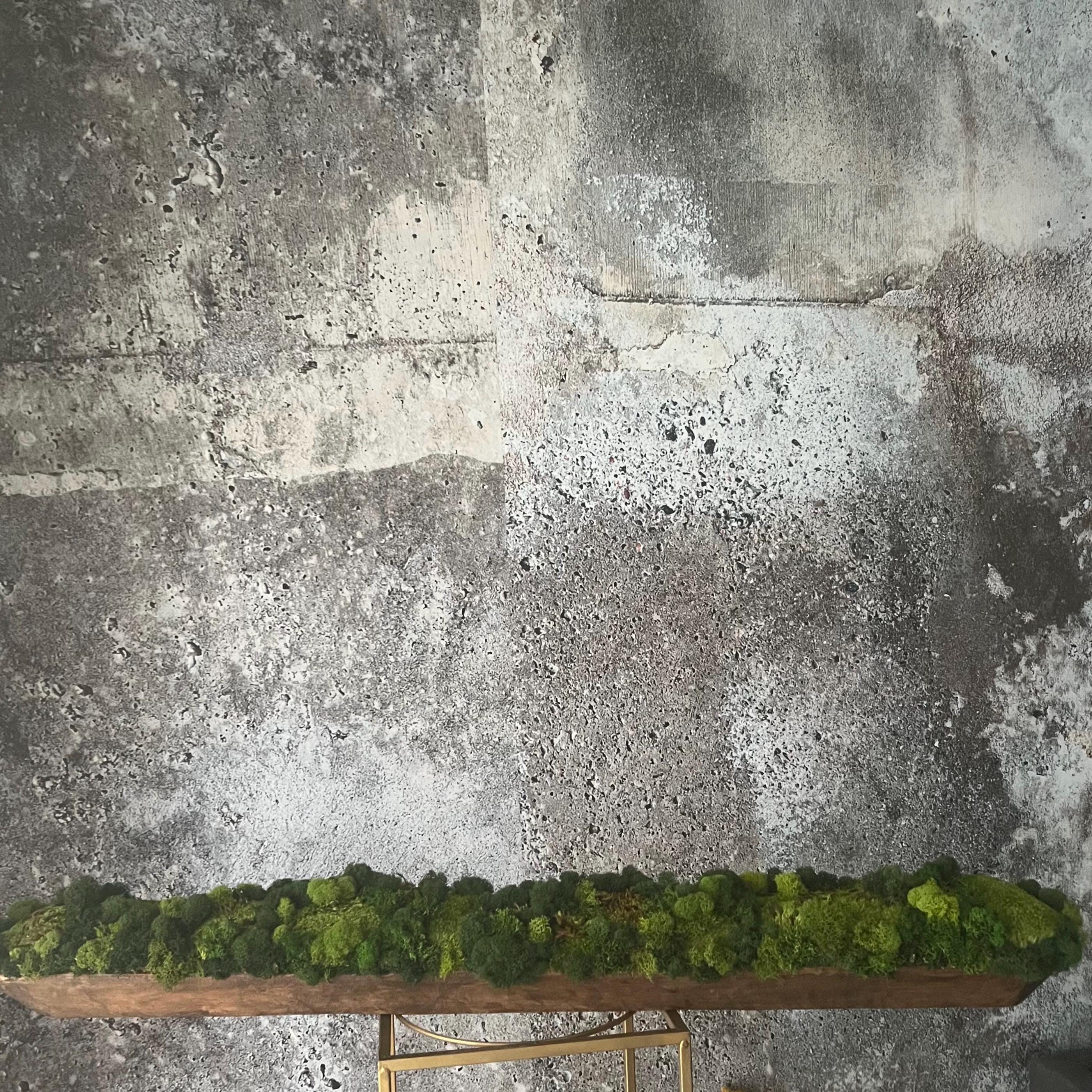Large Preserved Moss Table Centerpiece in Wood Bowl - 39” Moss Decor - Etsy