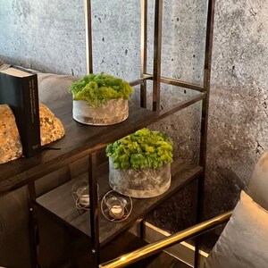 Moss Decor Moss Arrangement in Designer Box Table - Etsy