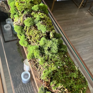 Large 26” Moss Decor in Wood Bowl, Preserved Moss, Moss Table ...
