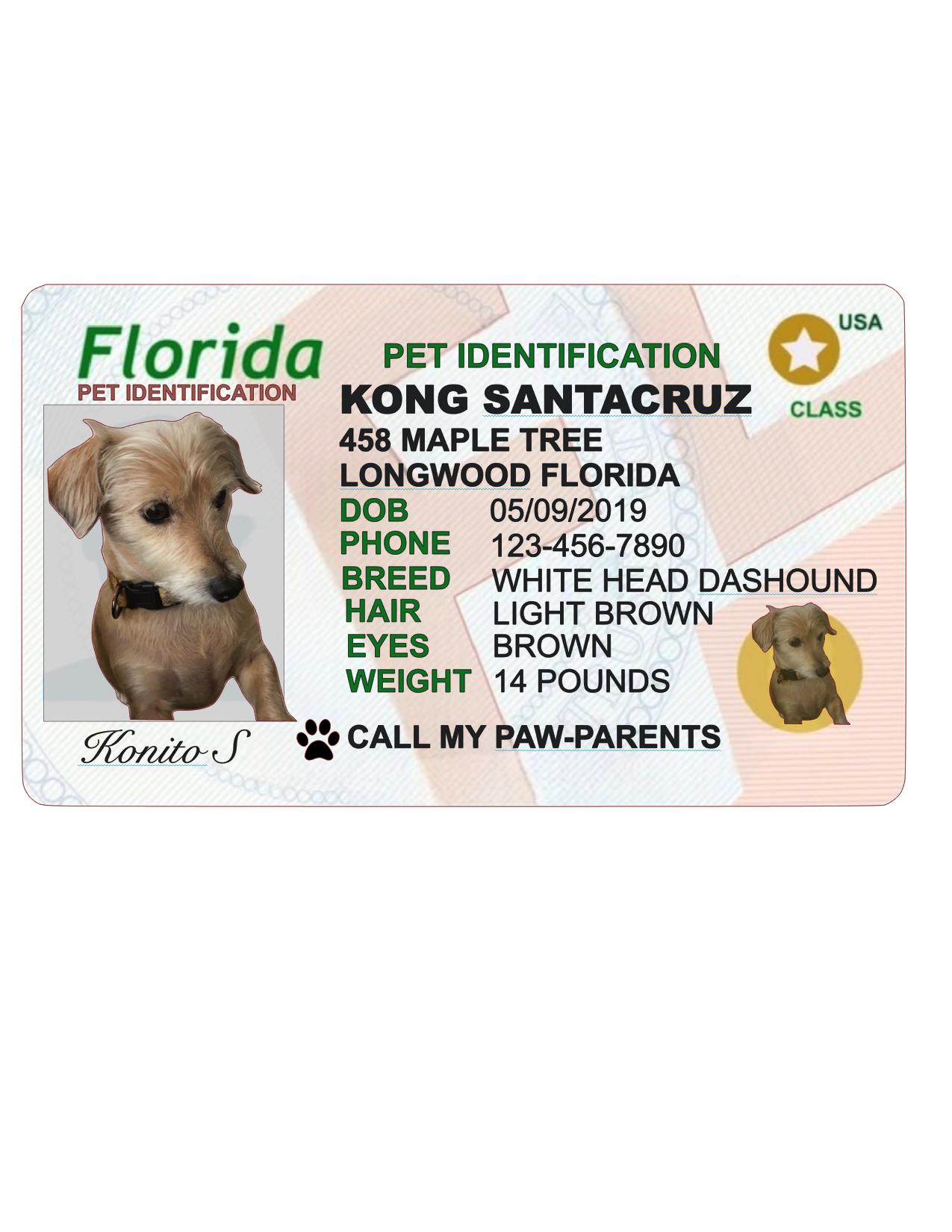 Custom Dog Tag, Personalized Pet ID Tag, Cat Tag, Dog Id, Dog Tag, Cat ...