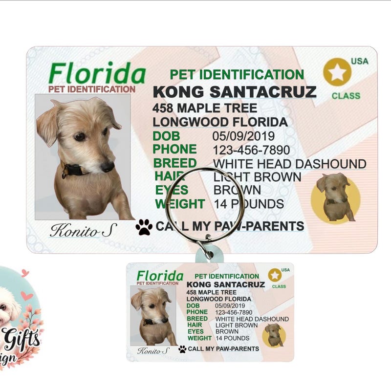 Dog Driver License - Etsy