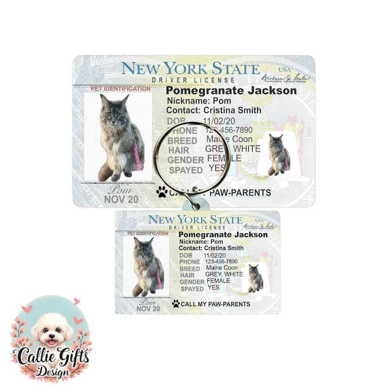 Dog Driver License - Etsy