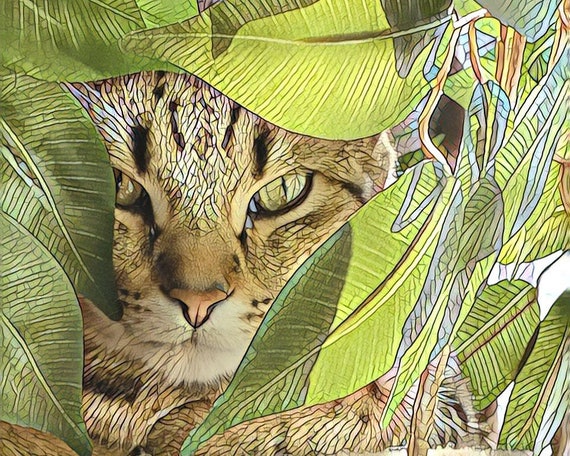 Cunning Cat
