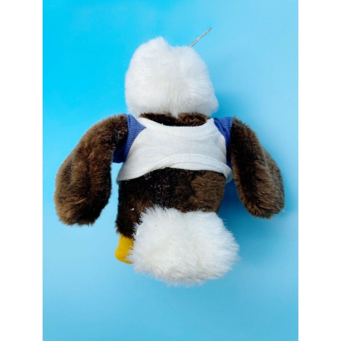 U.S. Air Force Museum 'where Eagles Rest' Eagle - Etsy