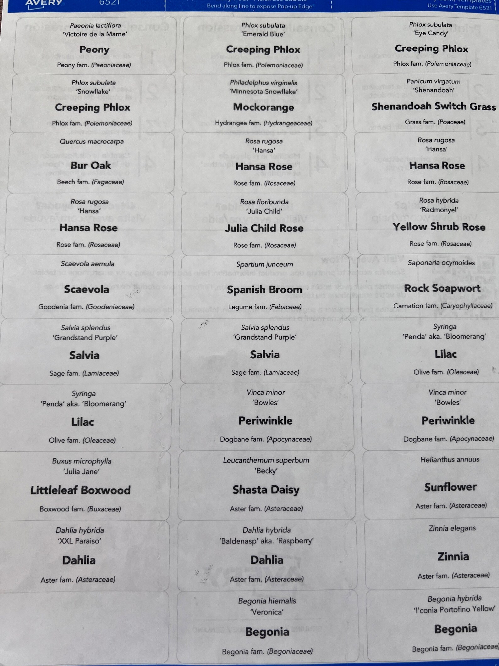 Plant Labels Template Avery 6521 15660 Etsy