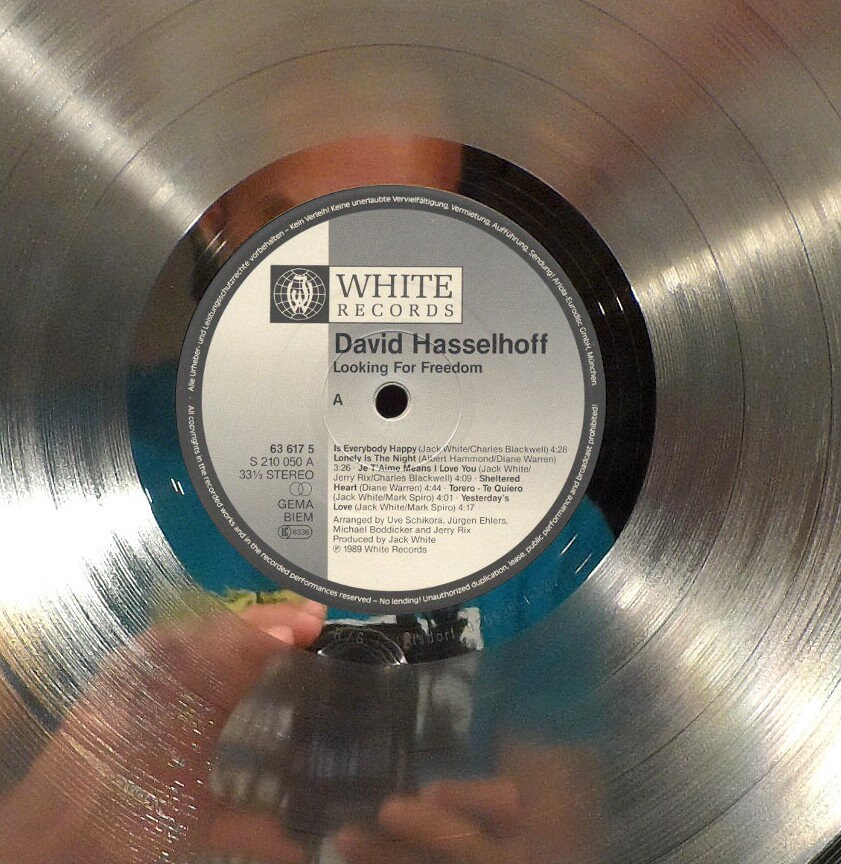 Collage With David Hasselhoff Looking for Freedom Silver / Gold Record ...