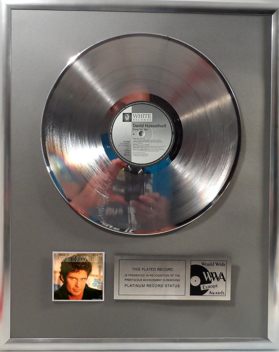 Collage With David Hasselhoff Crazy for You Silver / Gold Record - Etsy