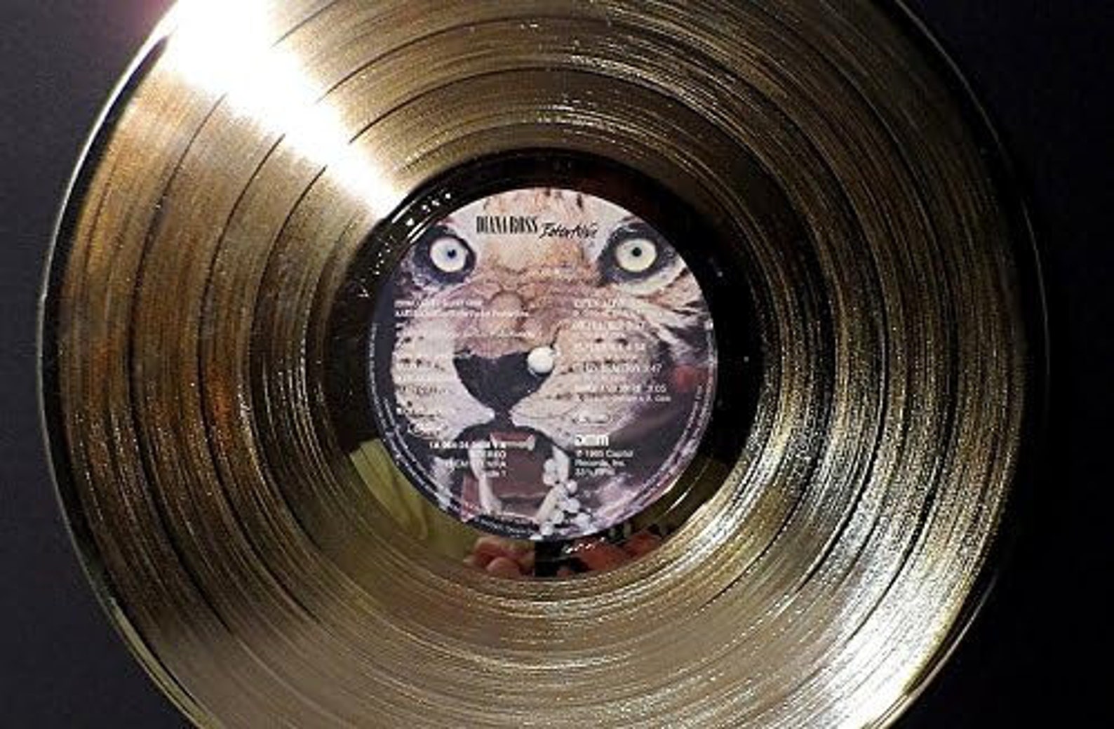 Collage With Diana Ross Eaten Alive Gold Record - Etsy
