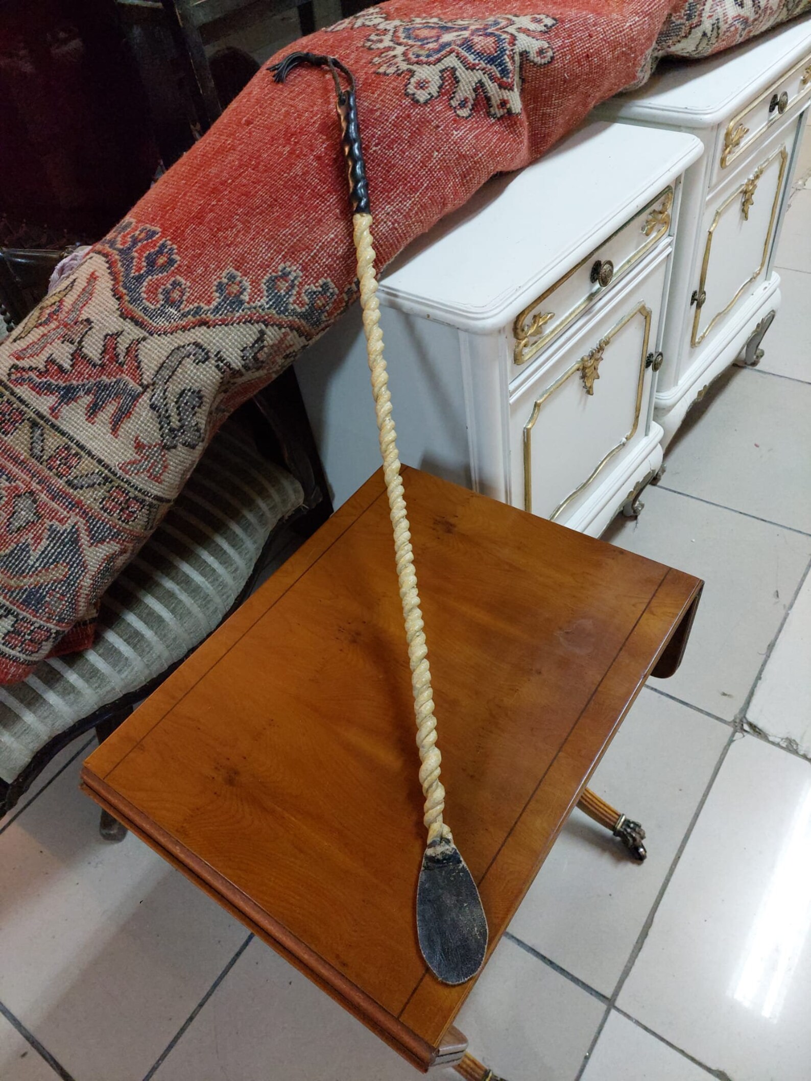 Antique Bull Pizzle Whip - Etsy