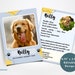Dog Trading Card Template | Trading Card Template | Canva Template ...