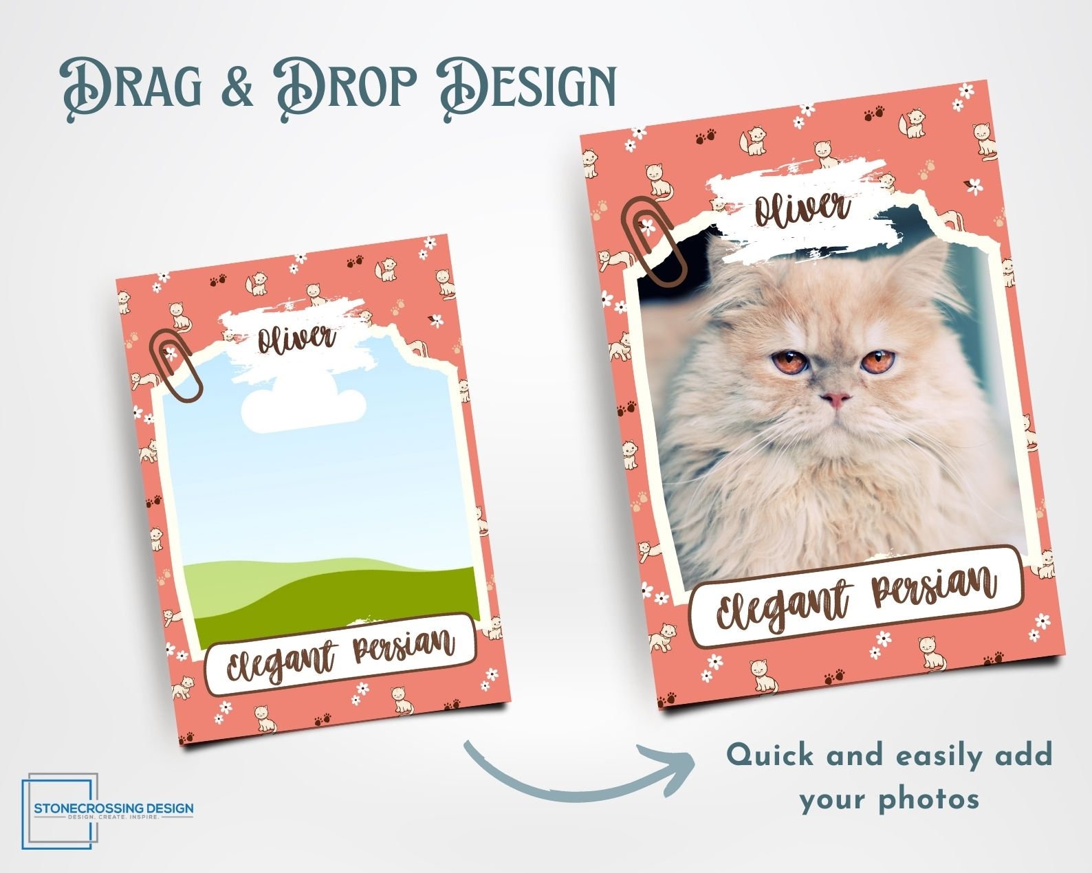 Cat Pet Trading Card Template Pet Trading Card Template Canva Template ...