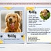 Dog Trading Card Template Trading Card Template Canva Template Editable ...