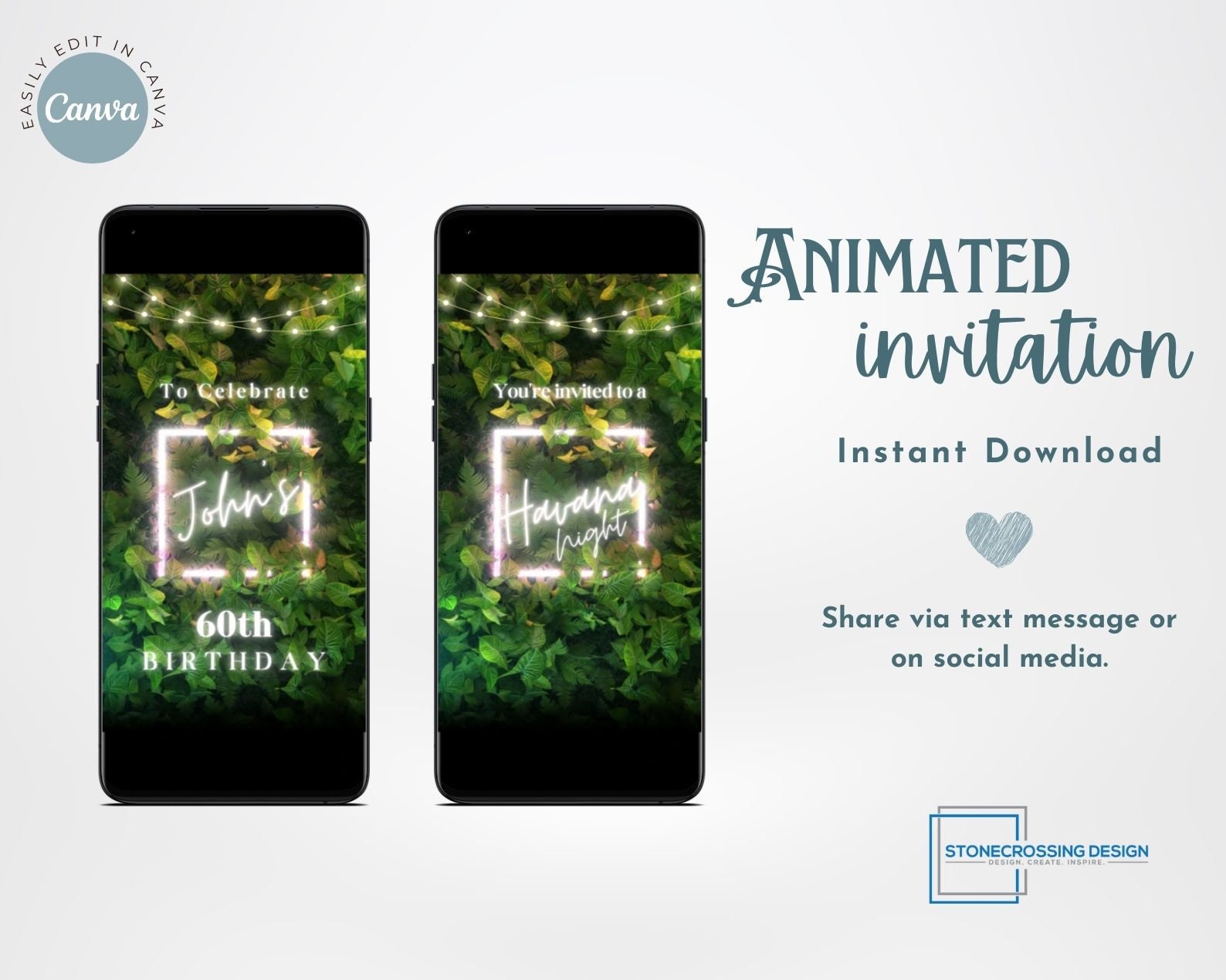 Digital Birthday Party Invitation, Electronicbirthday Party Video E ...