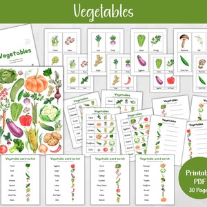 Printable Vegetables Bundle, 32 Vegetable Flash Cards, Kids Activity ...