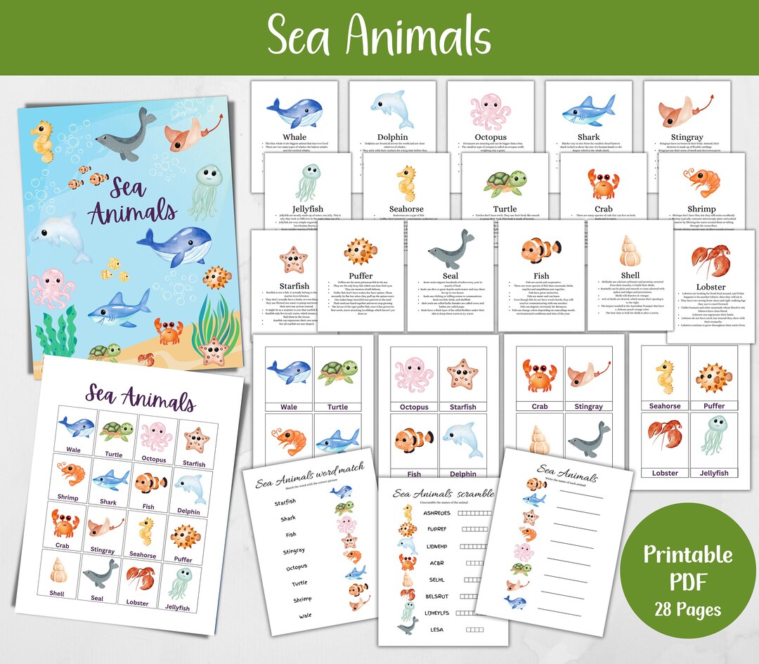 Printable Sea Animals Bundle, Kids Activity, Learning About Sea Life ...