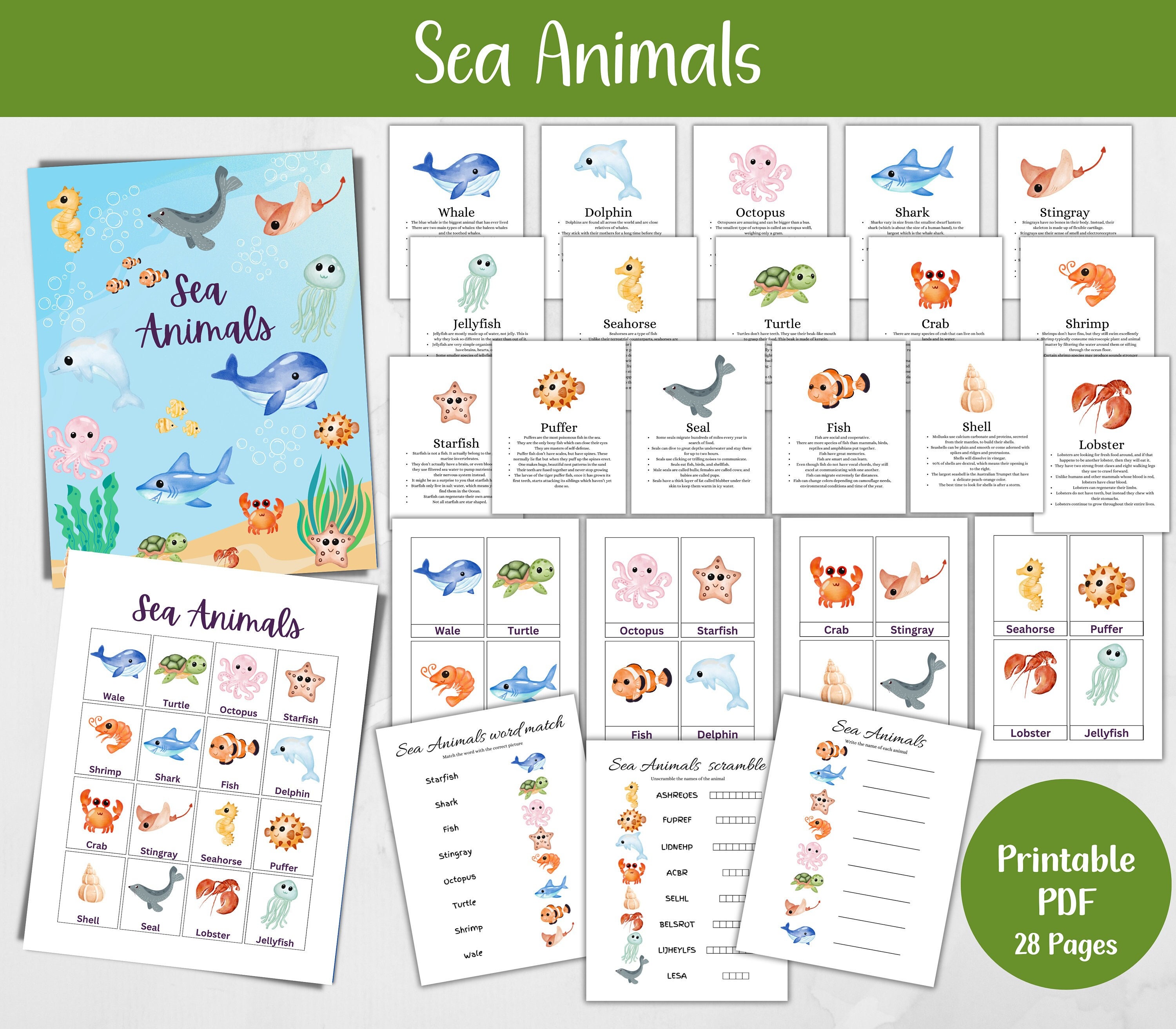 Printable Sea Animals Bundle, Kids Activity, Learning About Sea Life ...