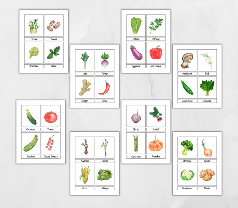 Printable Vegetables Bundle, 32 Vegetable Flash Cards, Kids Activity ...