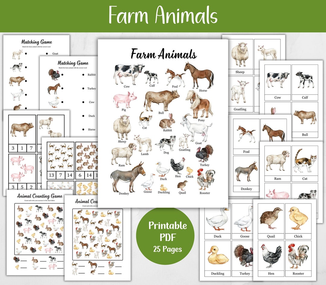 Printable Farm Animals Bundle, Learning Animals Flash Card, Farm ...