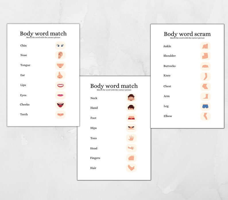 Tarjetas de aprendizaje de las partes del cuerpo humano: Imprimibles de ...