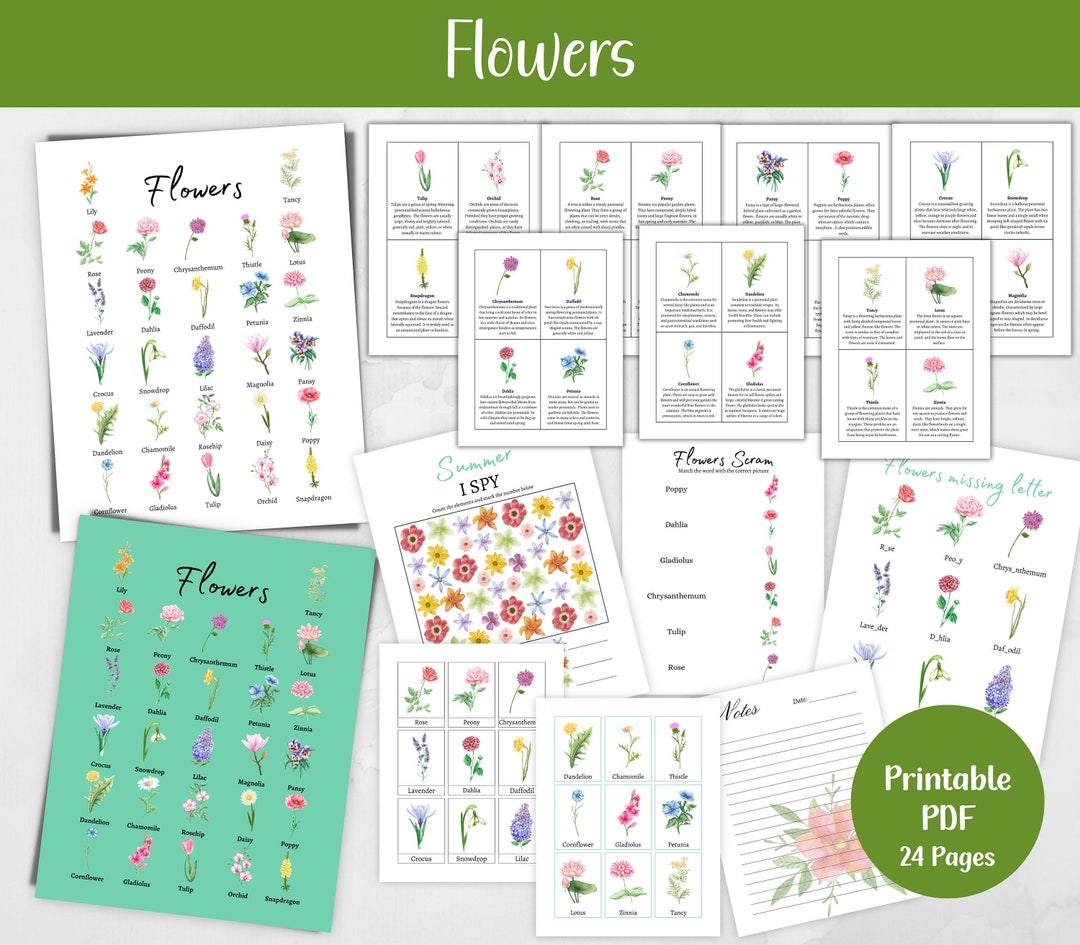 Printable Flowers Study Unit, Flowers Activities, Flash Cards, Learning ...