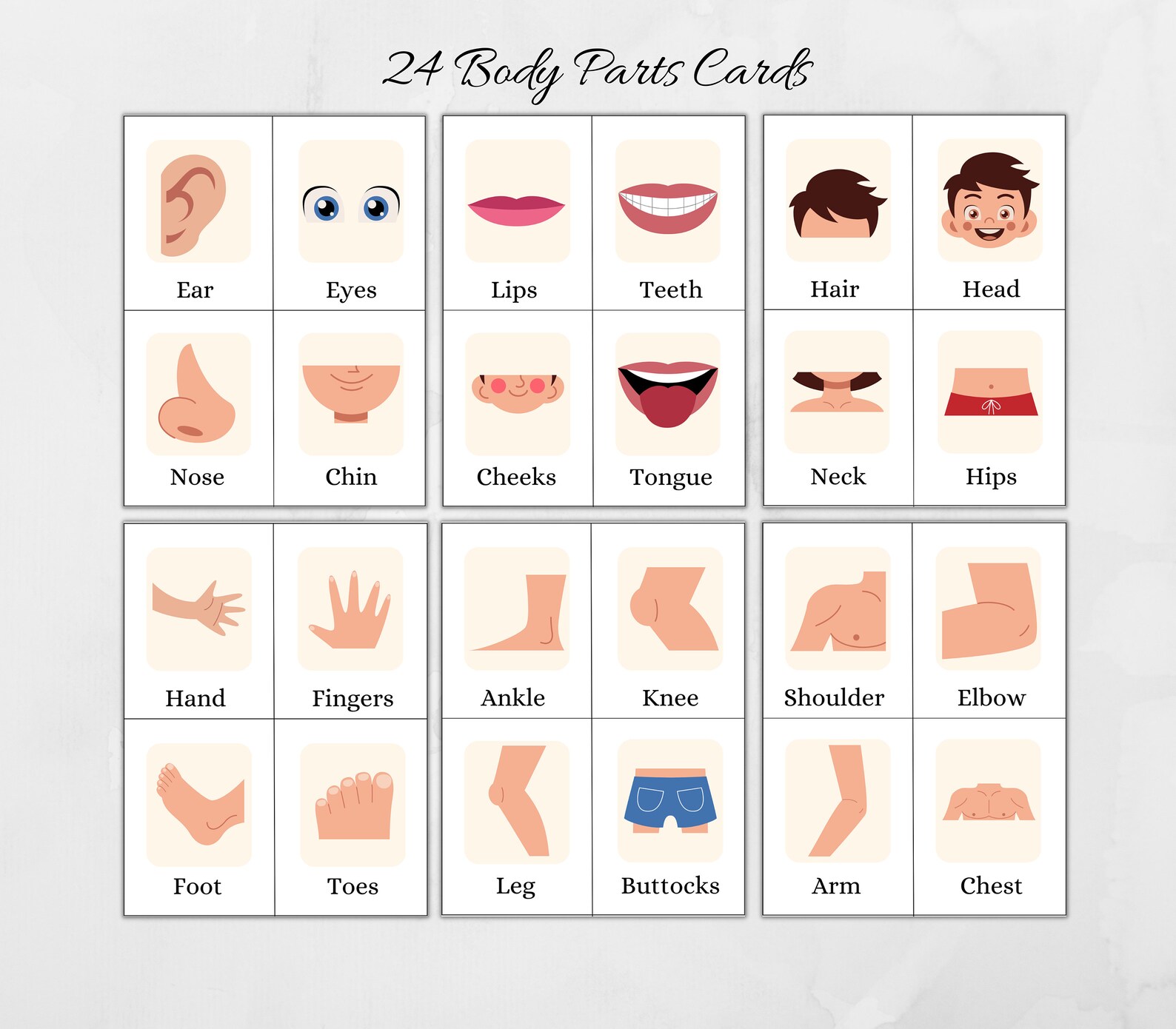 Printable Human Body Parts, Toddler Flash Cards, Kids Homeschool ...