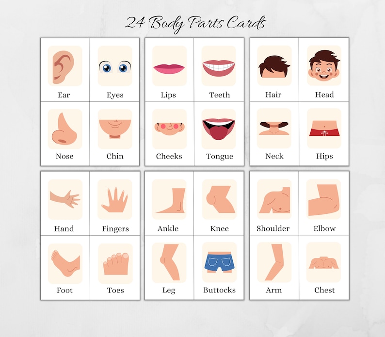 Printable Human Body Parts, Toddler Flash Cards, Kids Homeschool ...