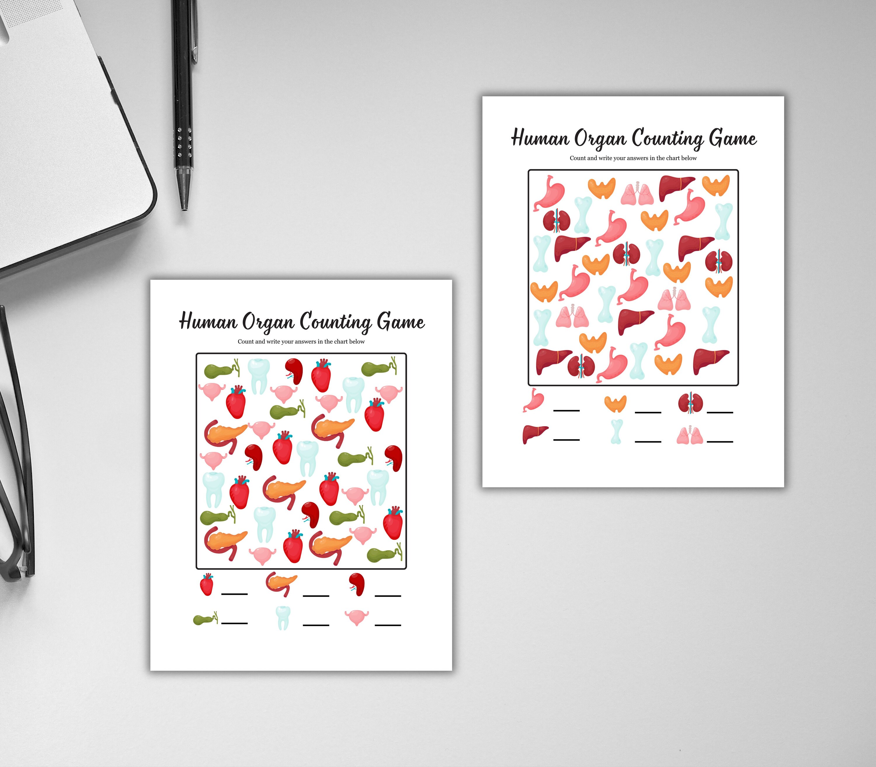 Human Body Organs Bundle, Human Organ Activities Preschool Printable ...
