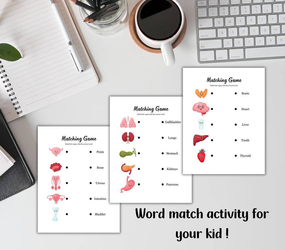 Human Body Organs Bundle, Human Organ Activities Preschool Printable ...