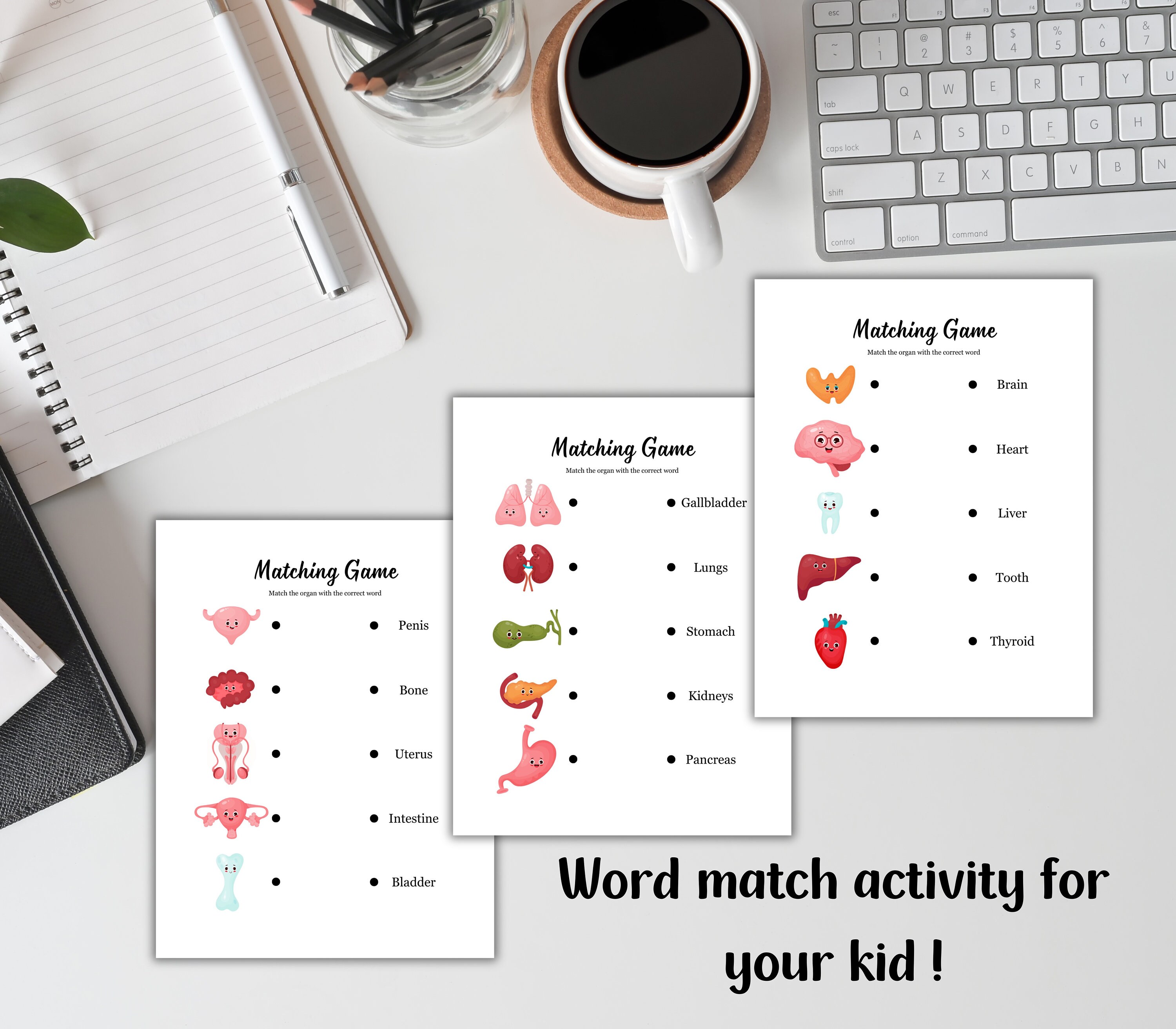 Human Body Organs Bundle, Human Organ Activities Preschool Printable ...