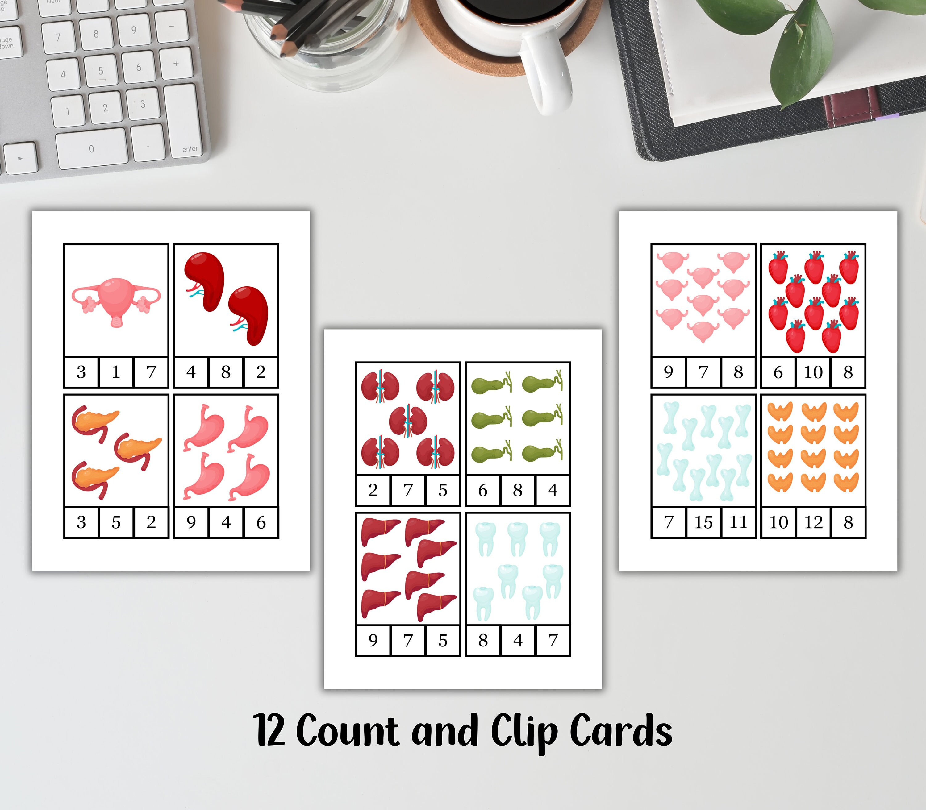 Human Body Organs Bundle, Human Organ Activities Preschool Printable ...