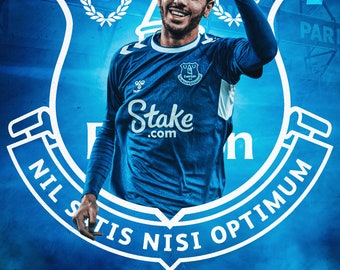 Amadou Onana Everton Football Poster Print A4 - Etsy