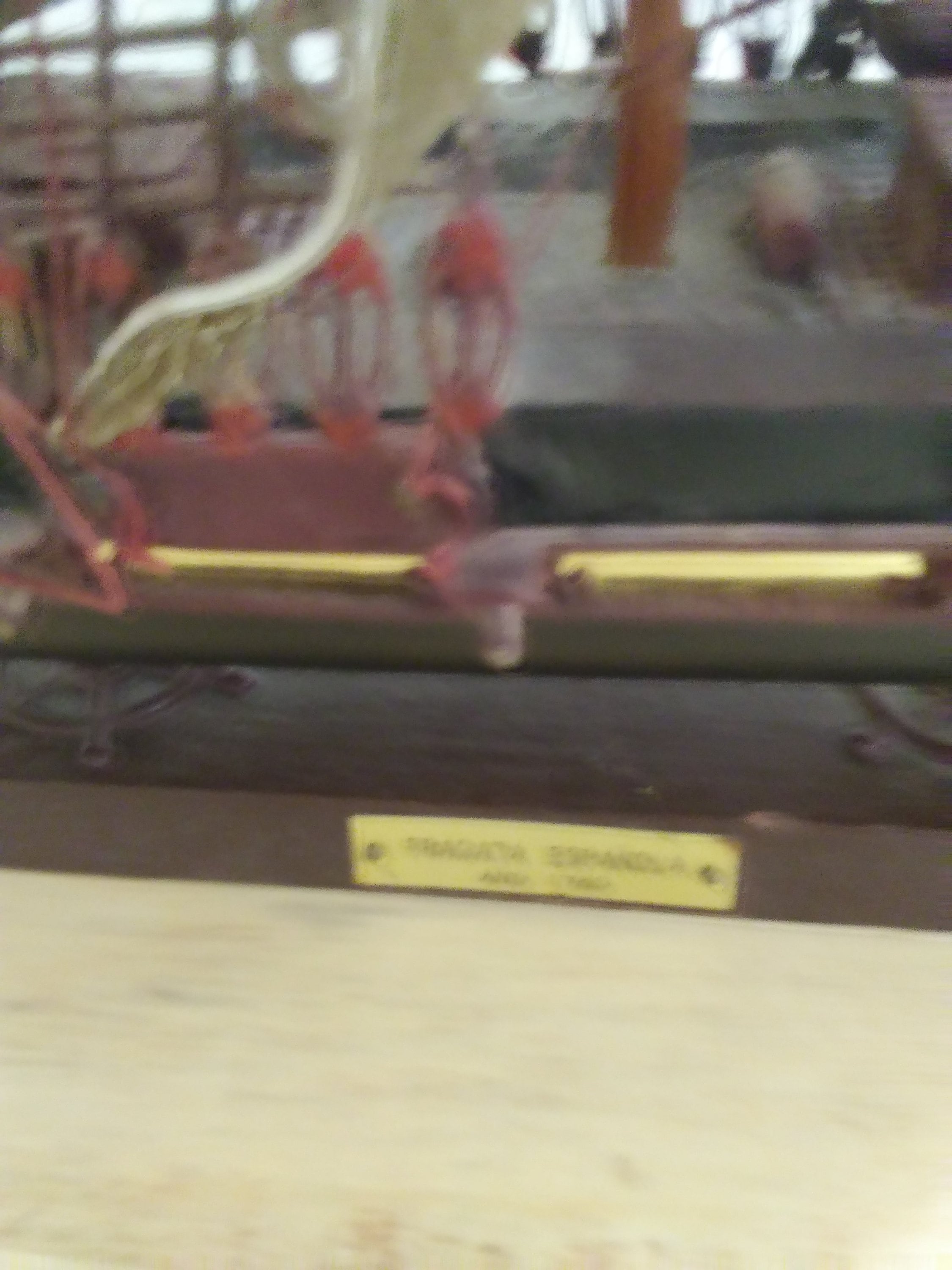 Fragata Espanola 1780 Spanish War Ship - Etsy