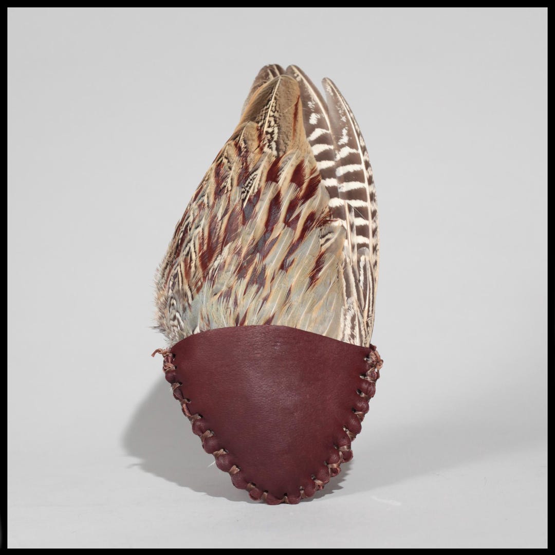 Ringneck Pheasant Wing Fan (full Wing) - Etsy