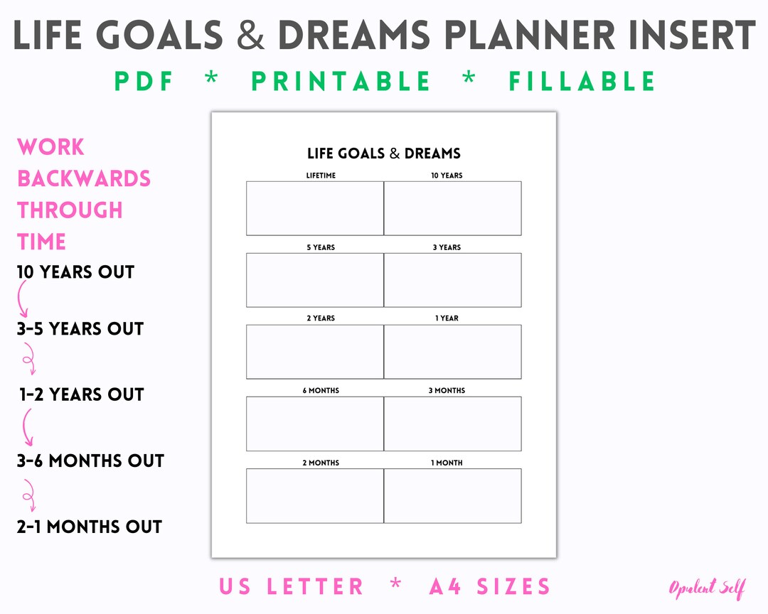 Lifetime Goal Planner Insert | Work Backwards | Dream Planning | Goal ...