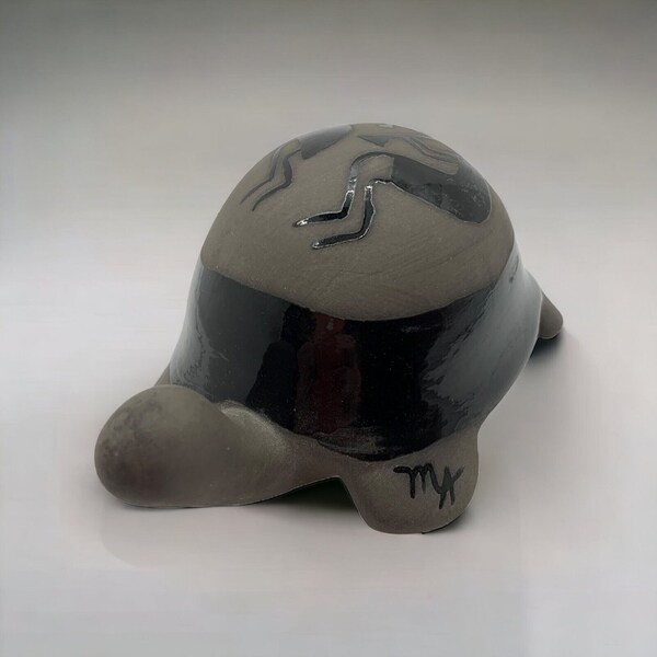 Native American Turtle Pottery - Etsy